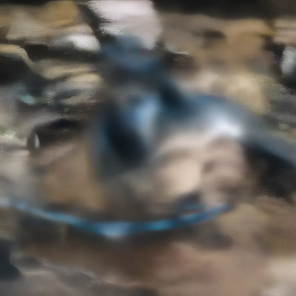 Understanding Credit Checks for Apartment Rentals